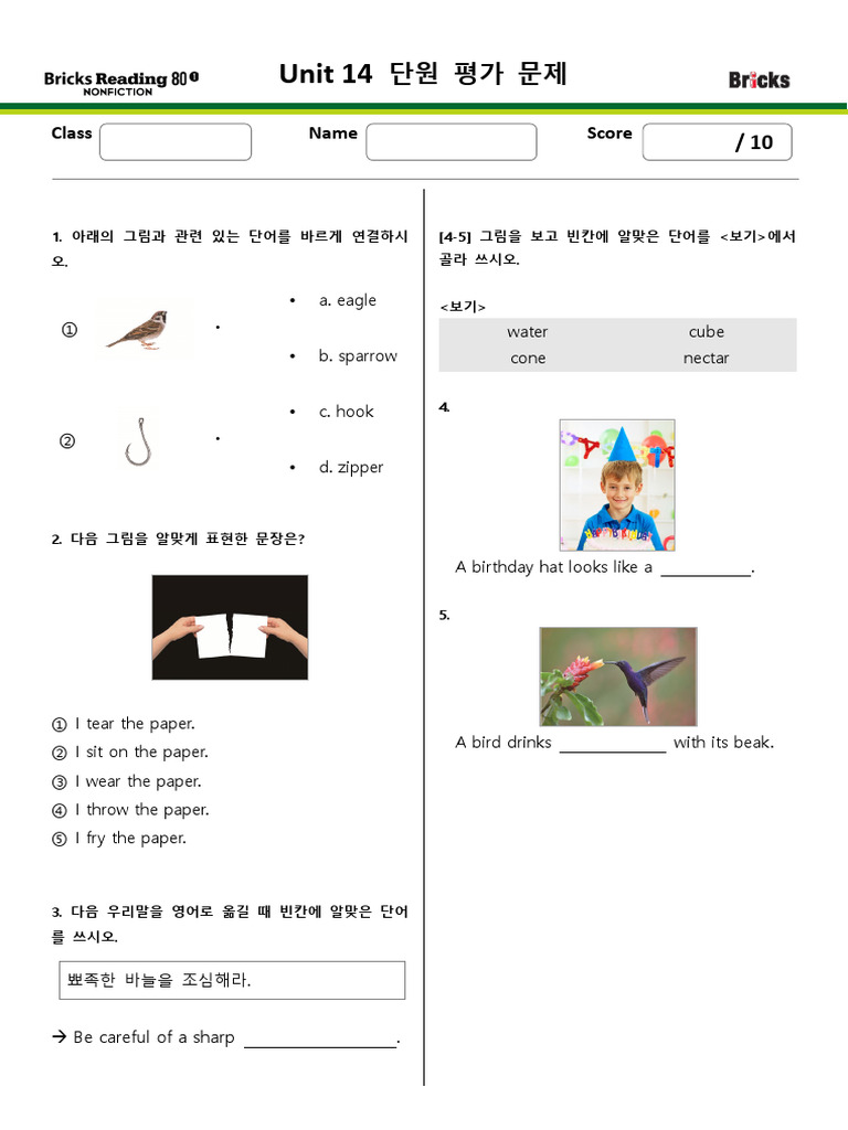 Bricks Reading 80 Nonfiction - L1 - Unit Test - Unit 14 | PDF