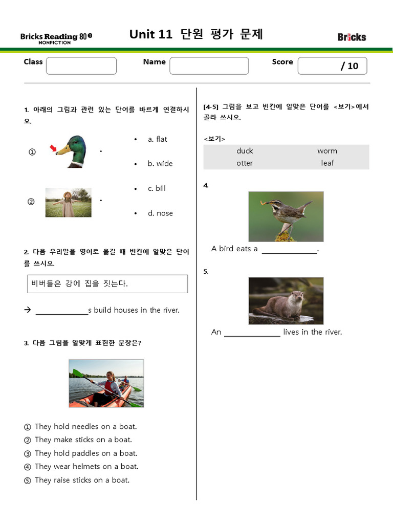 Bricks Reading 80 Nonfiction - L1 - Unit Test - Unit 11 | PDF