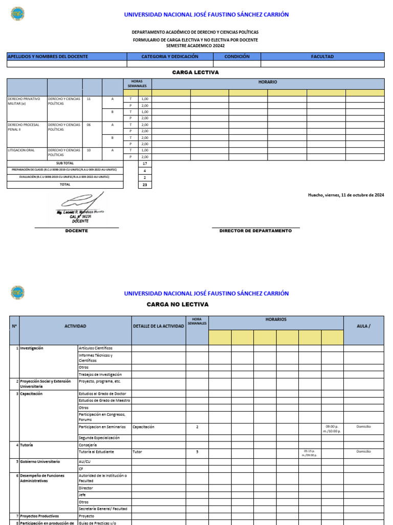 ReporteCargaLectiva y No Lectica 2024 II | PDF