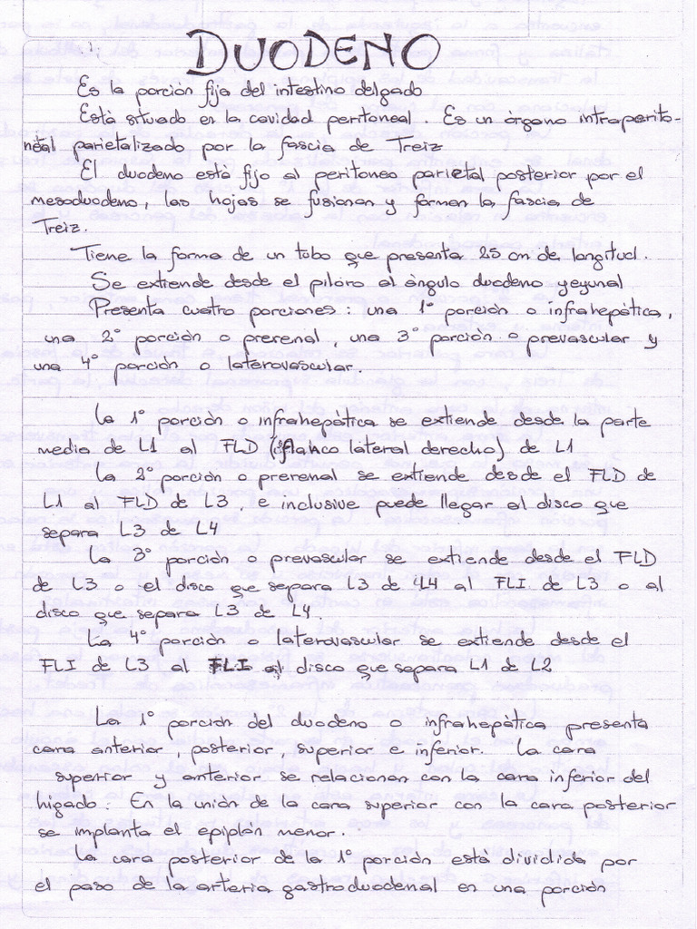 Duodeno | PDF