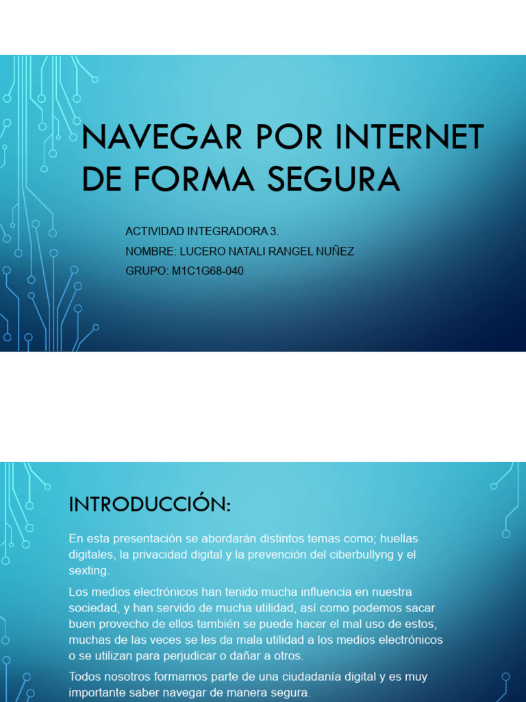 Navegar en Internet de Manera Segura | PDF | Internet | Wikipedia