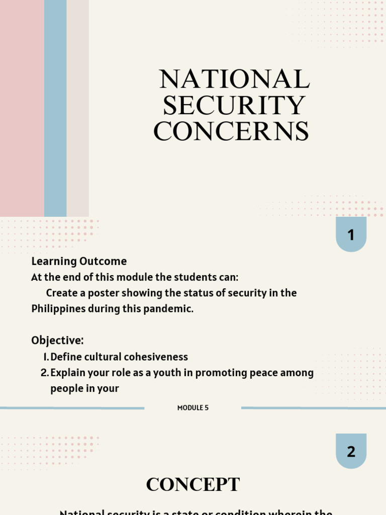 National Security Concerns | PDF | Violence | National Security