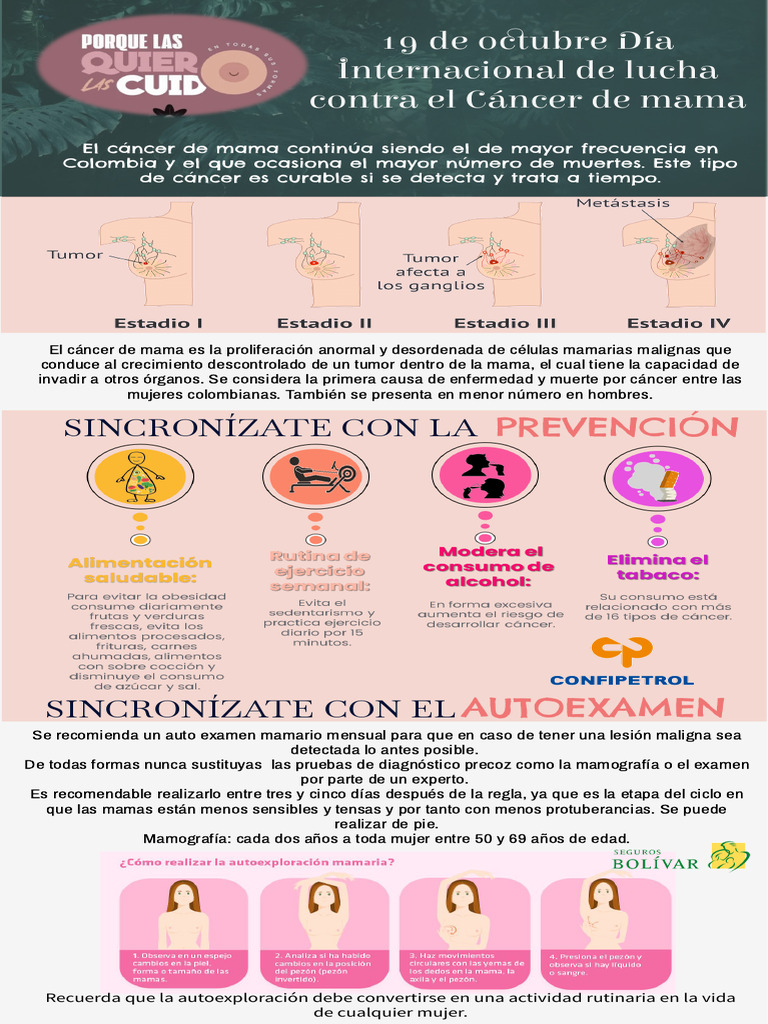 Boletin Salud Dia Internacional de CA Mama | PDF