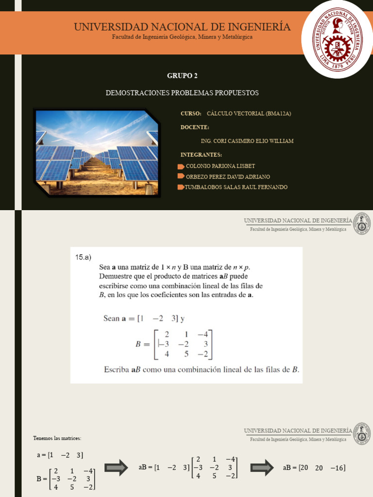 Grupo 2 - Demostraciones Cã L. Vectorial | PDF | Ecuaciones | Conceptos ...