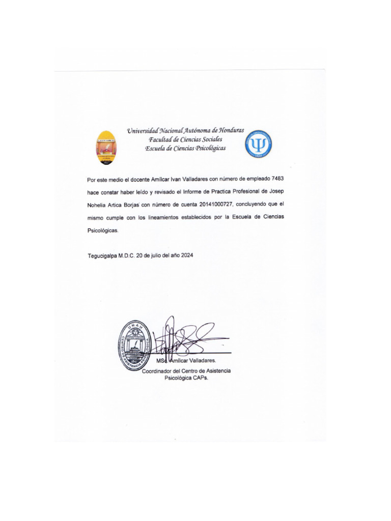 Constancia de Informe PDF | PDF