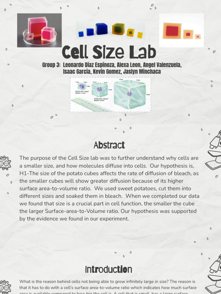Cell Size LAB | PDF | Diffusion | Temperature