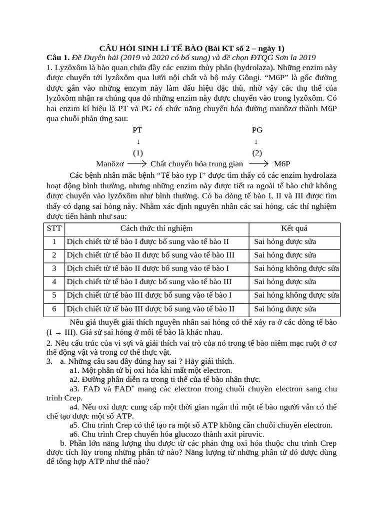 Câu Hỏi Sinh Lí Tb (Bài Kt Số 2) | PDF
