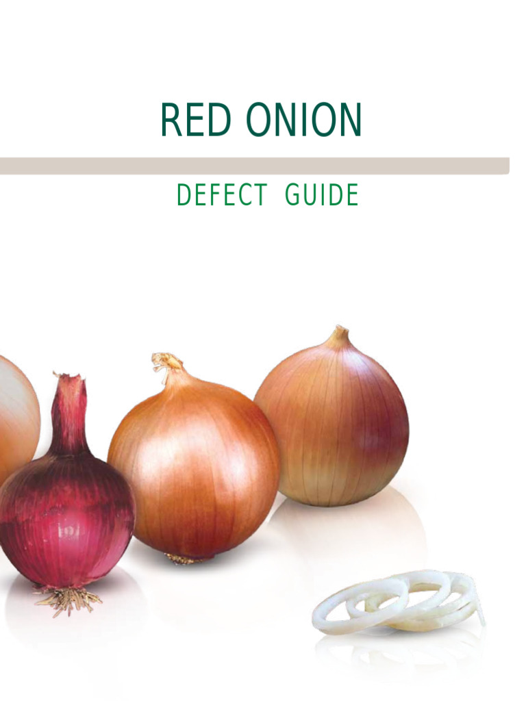Red Onion | PDF
