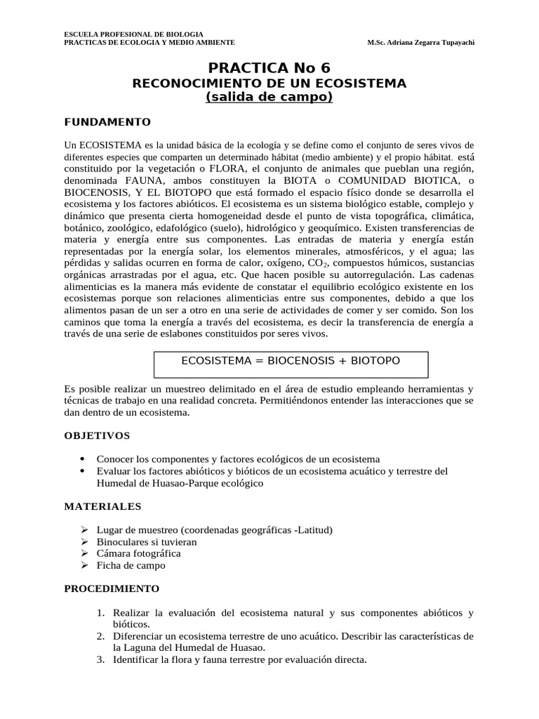 PRACTICA 6 -Salida de campo-reconociendo el ecosistema-HUASAO | PDF | Ecosistema | Ecología