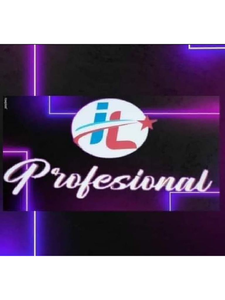 Il Profesional | PDF