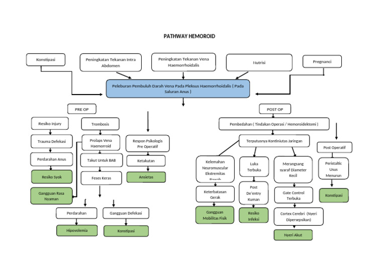 Pathway Hemoroid | PDF