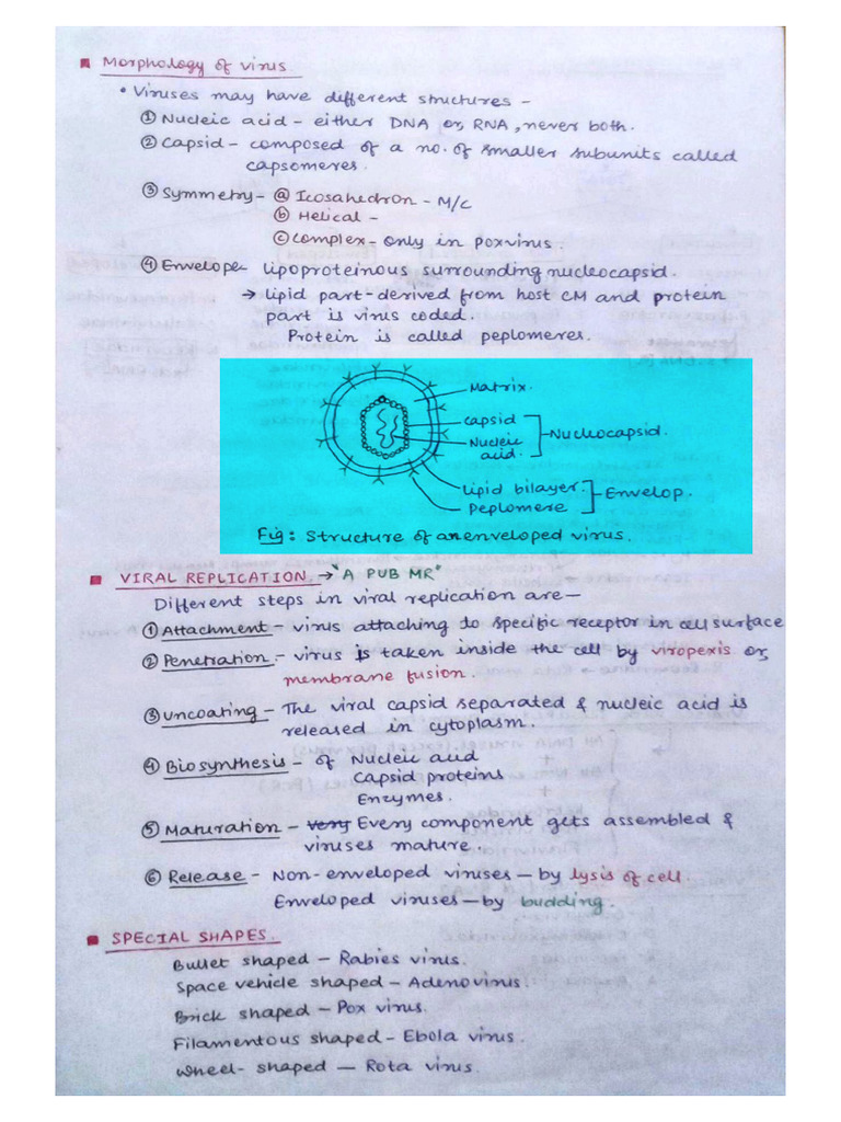 General Virology 1 & 2 | PDF