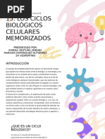 Marc Frechet | PDF | Mente inconsciente | Memoria