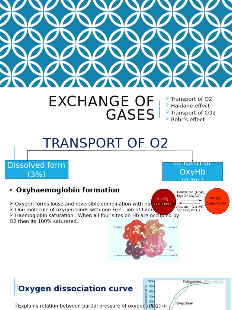 Gas Exchange: O2 and CO2 Transport Mechanisms | PDF | Hemoglobin ...