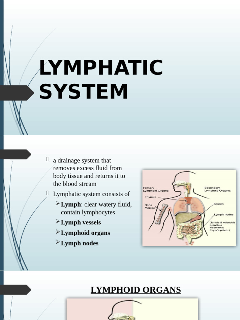 2 Lymphatic System | PDF