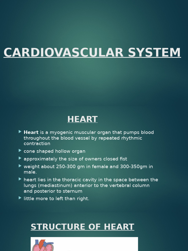 Cardiovascular System | PDF | Heart | Ischemia
