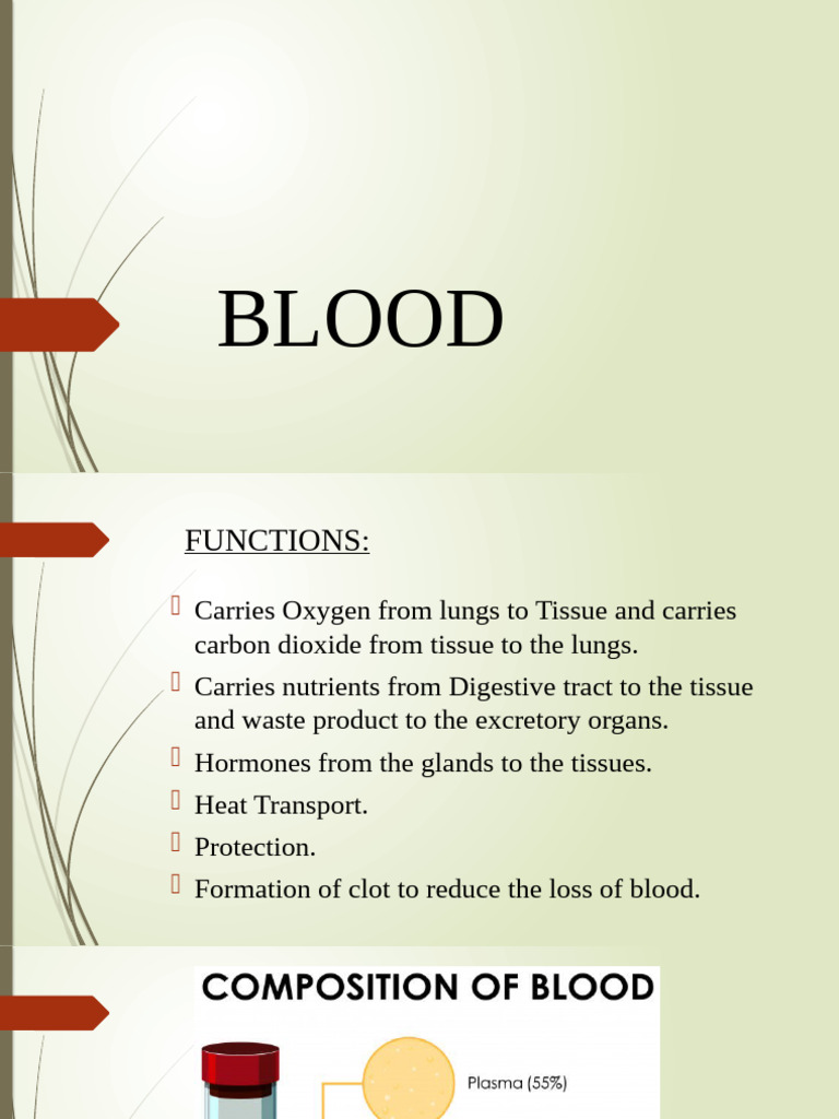 1 Blood | PDF | Cooking, Food & Wine