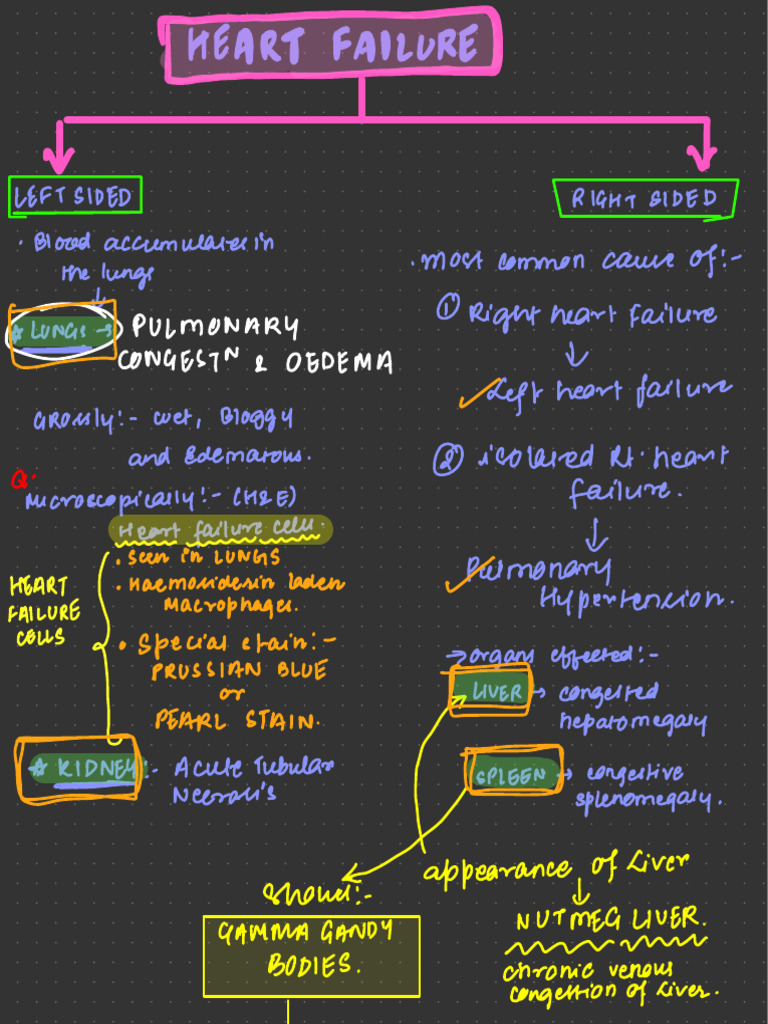 Heart Failure and Myocardial Infarction | PDF | Heart | Cardiac Muscle