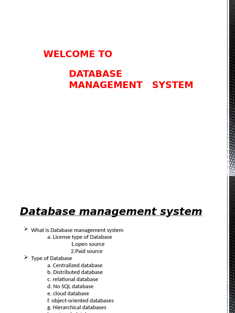 Understanding Database Management Systems | PDF | Databases | Relational Database