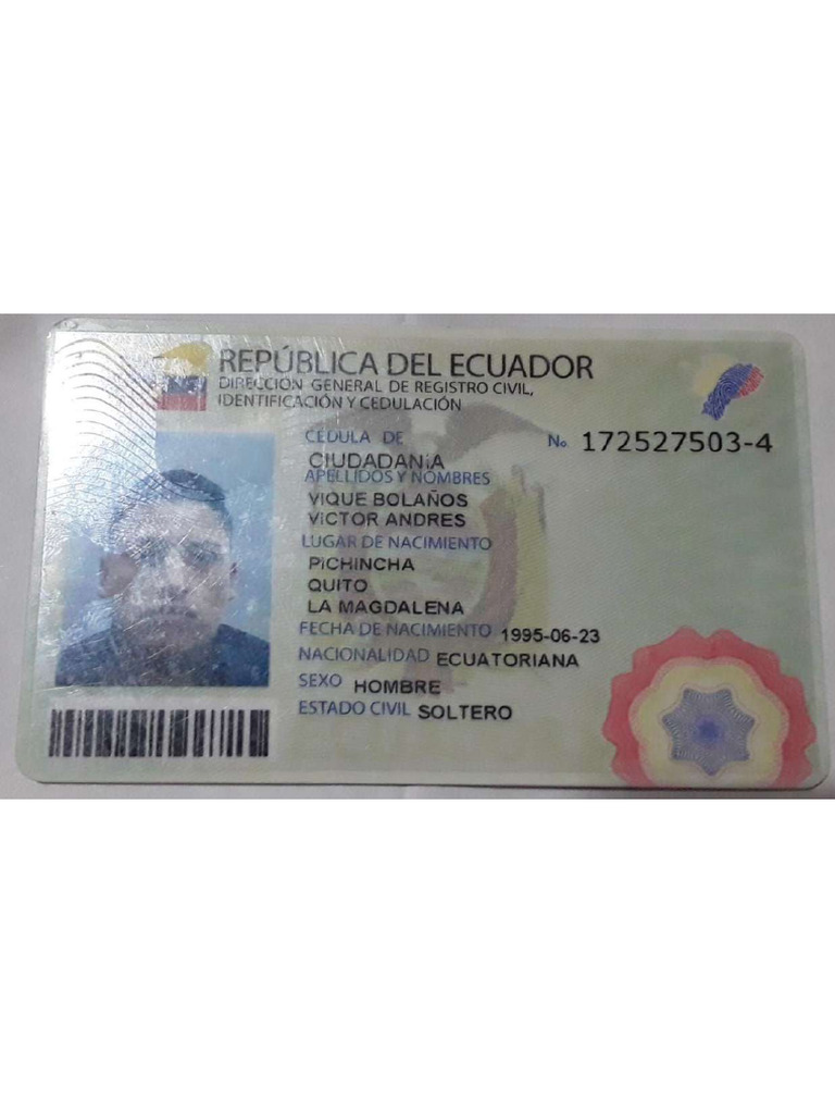 Cedula Andrés Vique | PDF