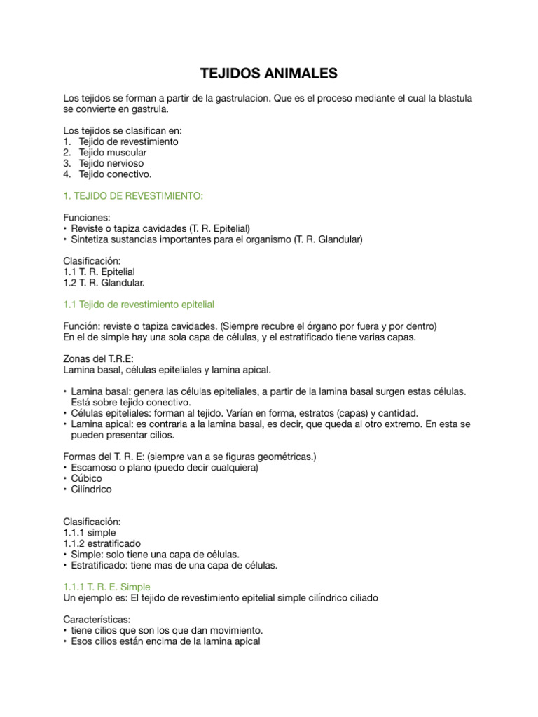 Tejidos Animales | PDF | Epitelio | Hueso