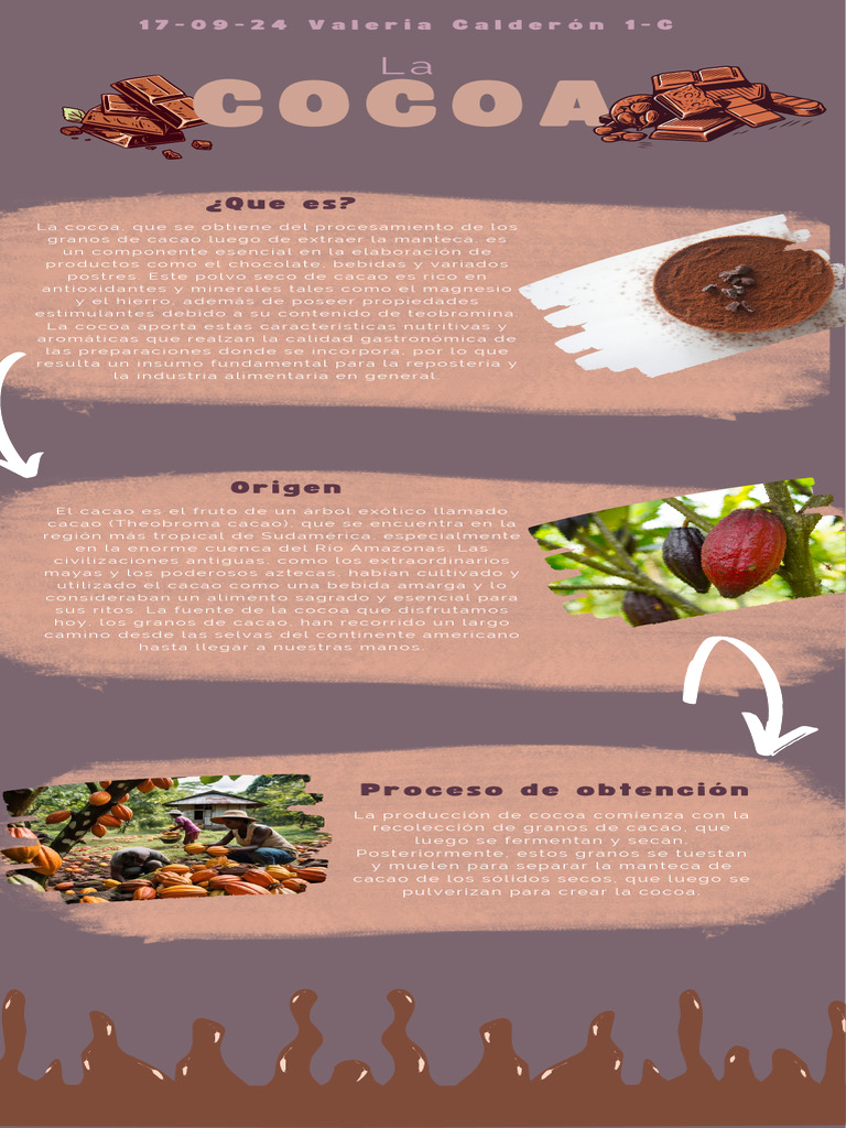 La Cocoa | PDF | Chocolate | Alimentos