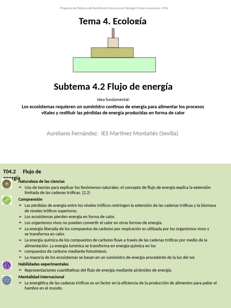 4 2 Flujo de Energía | PDF | Red alimentaria | Fotosíntesis