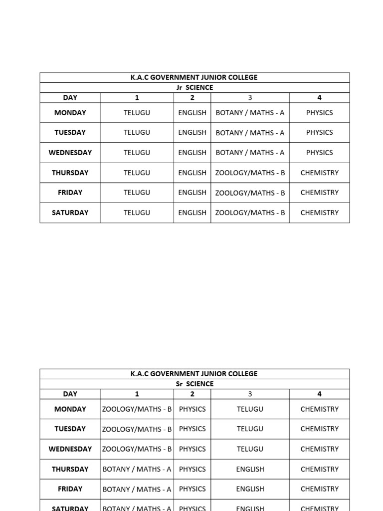 Science Time Table 2024-25 | PDF