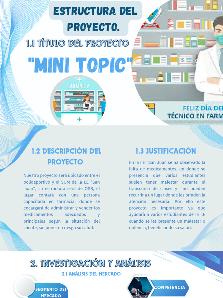 Estructura Del Proyecto | PDF | Marketing
