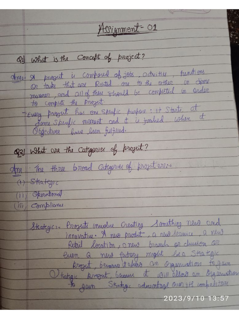 Project Assignment 1 | PDF