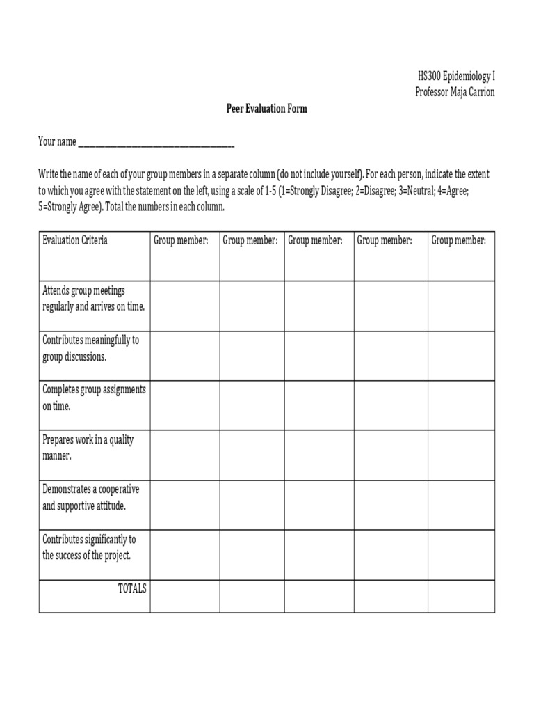 HS300 Peer Evaluation Form Template | PDF