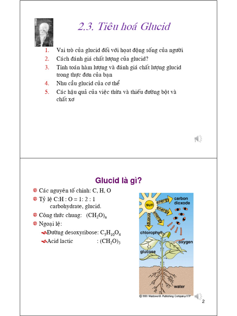 Bai 2 Nhu Cầu Glucid | PDF