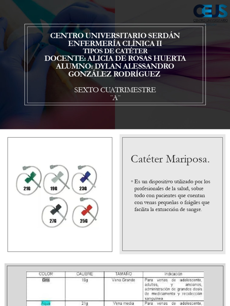 Tipos de Cateter Dylan | PDF