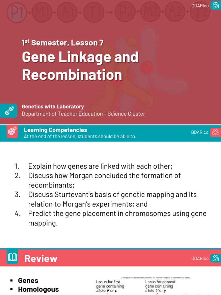 07 Gene Linkage and Recombination | PDF | Genetic Linkage | Genetic ...