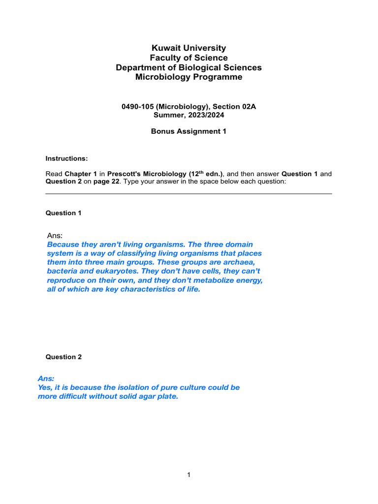 Bonus Assignment 1 | PDF