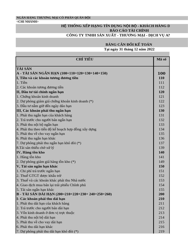 BCTC 2022 - An Hòa Phát | PDF