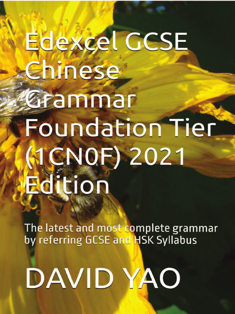 Edexcel GCSE Chinese Grammar Foundation Tier (1CN0F) V2021 Sample | PDF ...