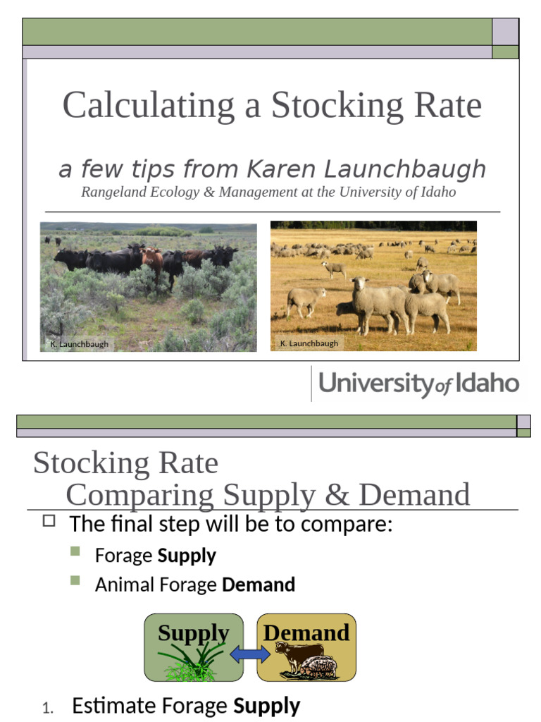 Calculating Stocking Rate new | PDF | Sheep | Pound (Mass)