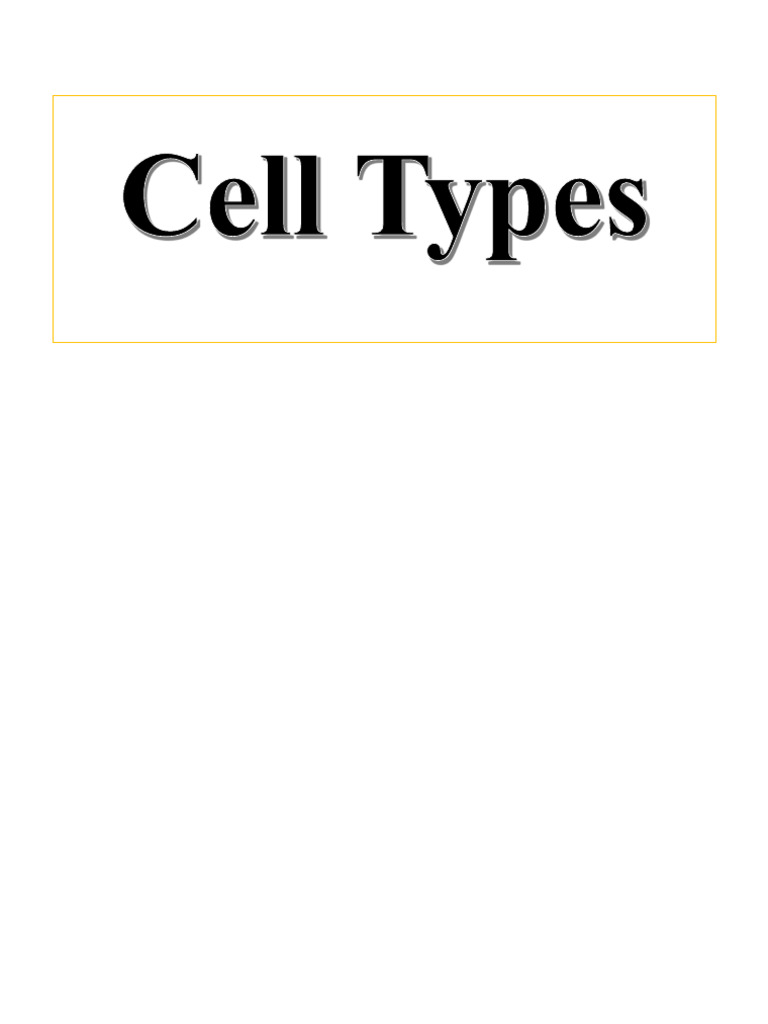 Lesson3. Cell Types and Cell Modifications | PDF | Epithelium | Muscle