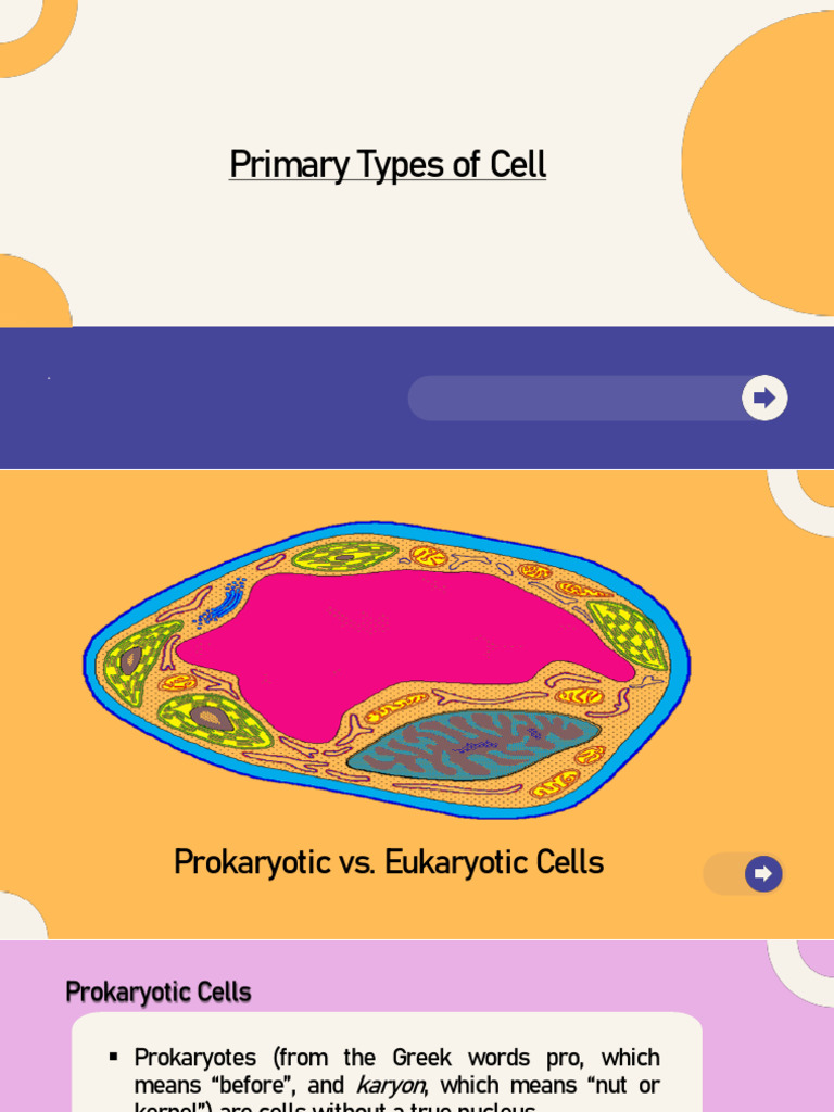 Lesson2.Prokaryotic Cell vs. Eukaryotic Cell 2022 23 | PDF | Cell ...
