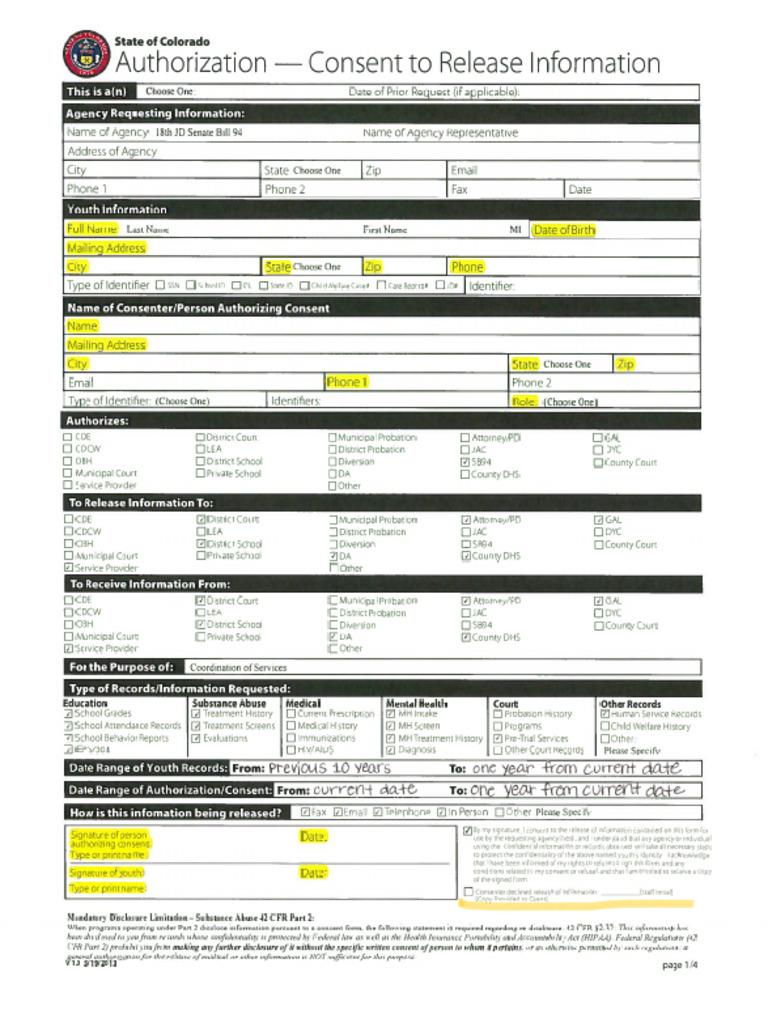 Relase of Information- Paper Version | PDF