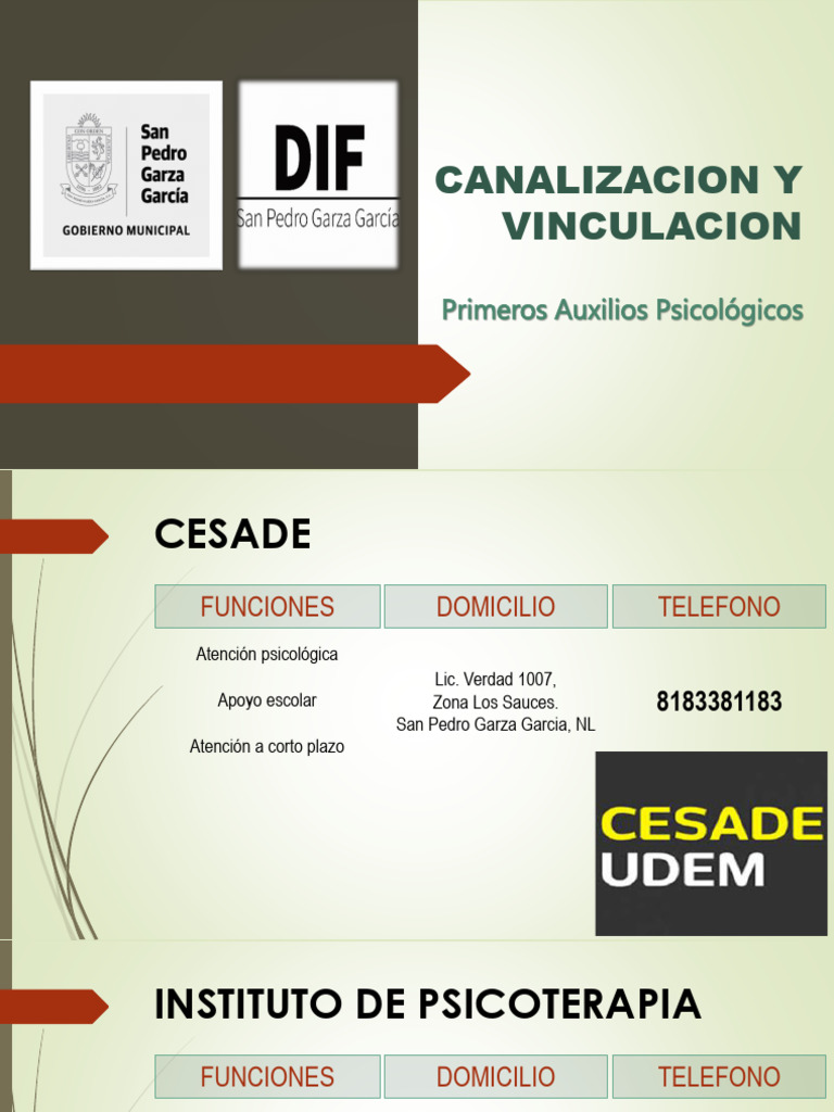 Canalizacion y Vinculacion Pap 2024 | PDF | Cuidado de la salud | Salud ...