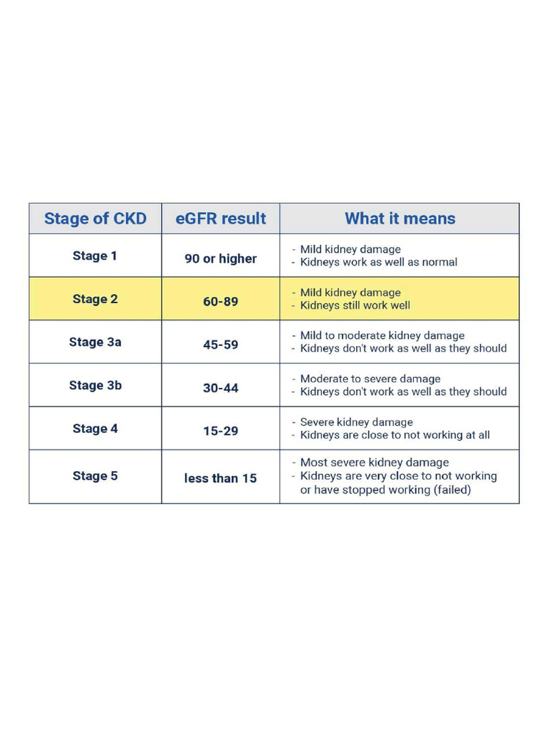 Stages of Ckd | PDF