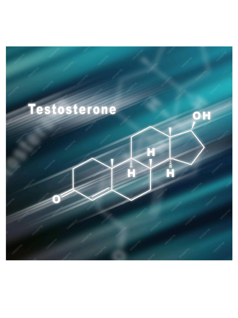 Testosterone | PDF