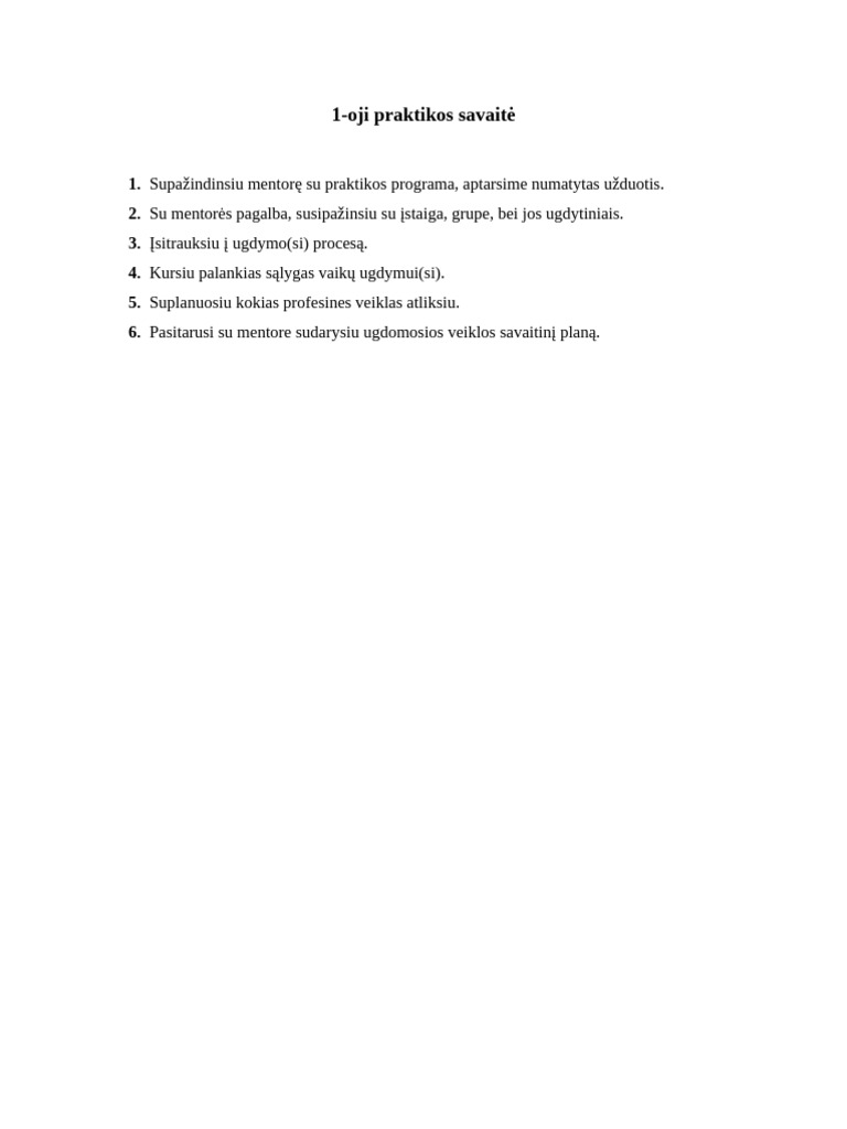 Praktikos 2 Planas | PDF