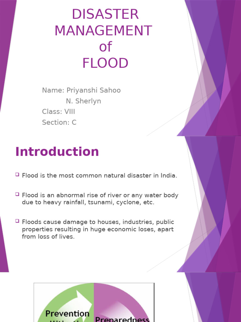 Disaster Management | PDF