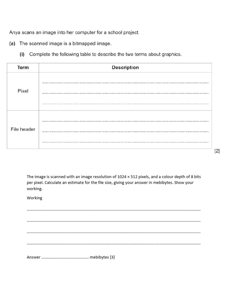 AS CS Class Worksheet 10 | PDF | Data Compression | Encodings