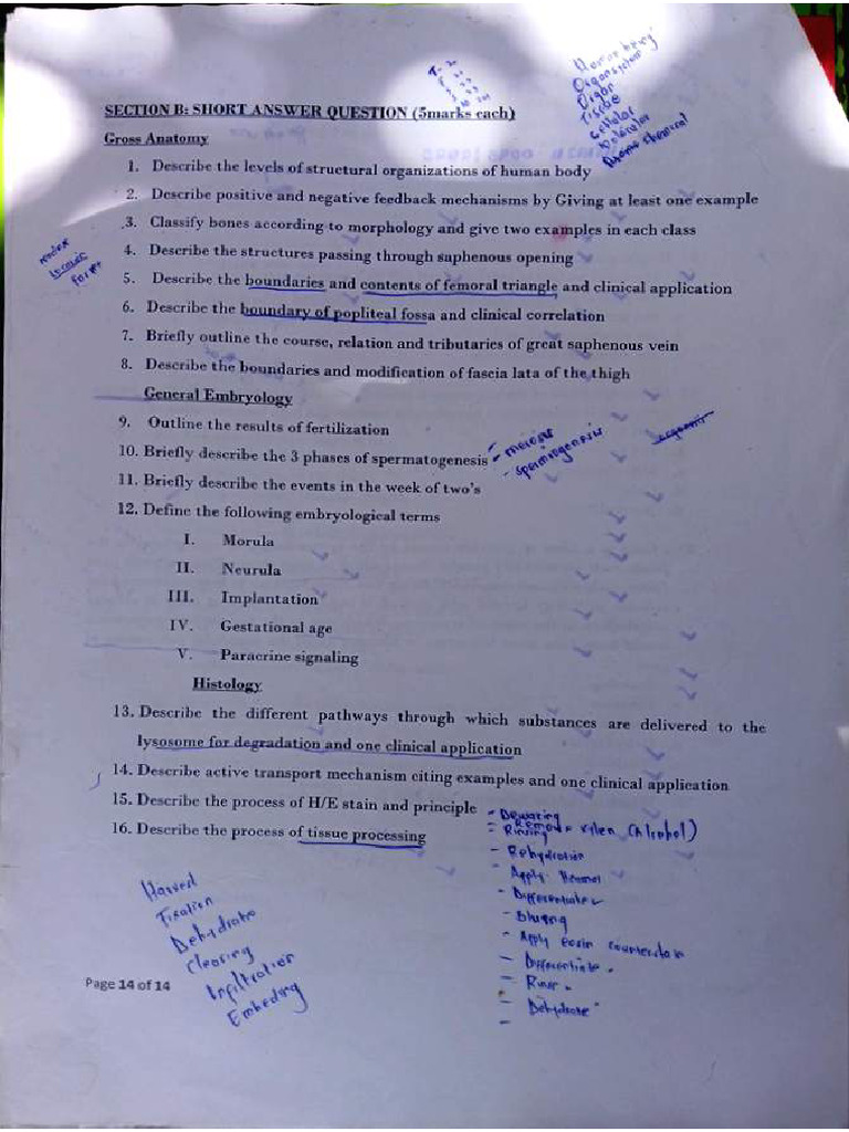 Anatomy 1st Exam | PDF