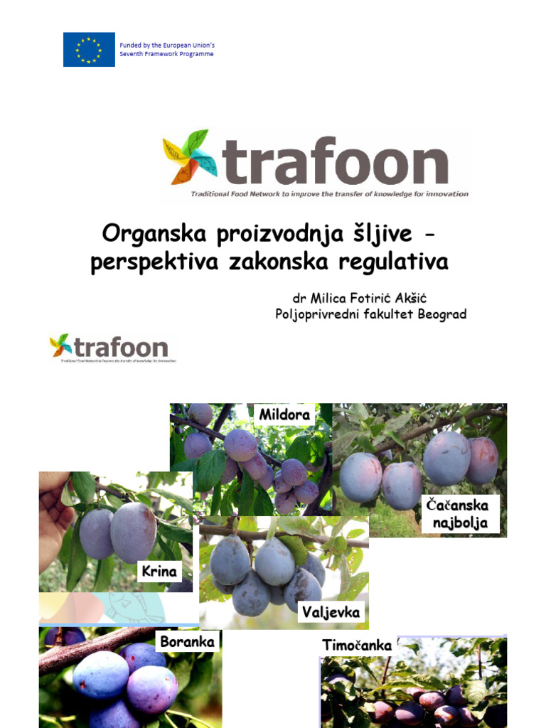 Organska Proizvodnja Sljive | PDF