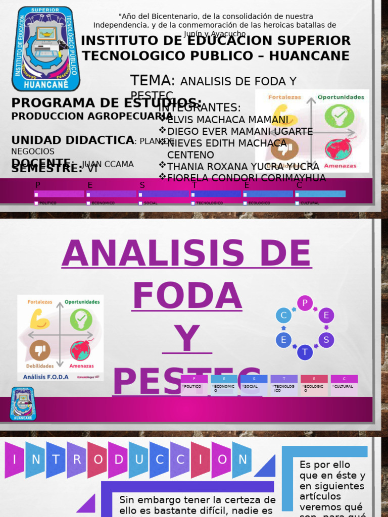 Expo... Analisis de Foda y Pestec. | PDF | Análisis FODA | Business